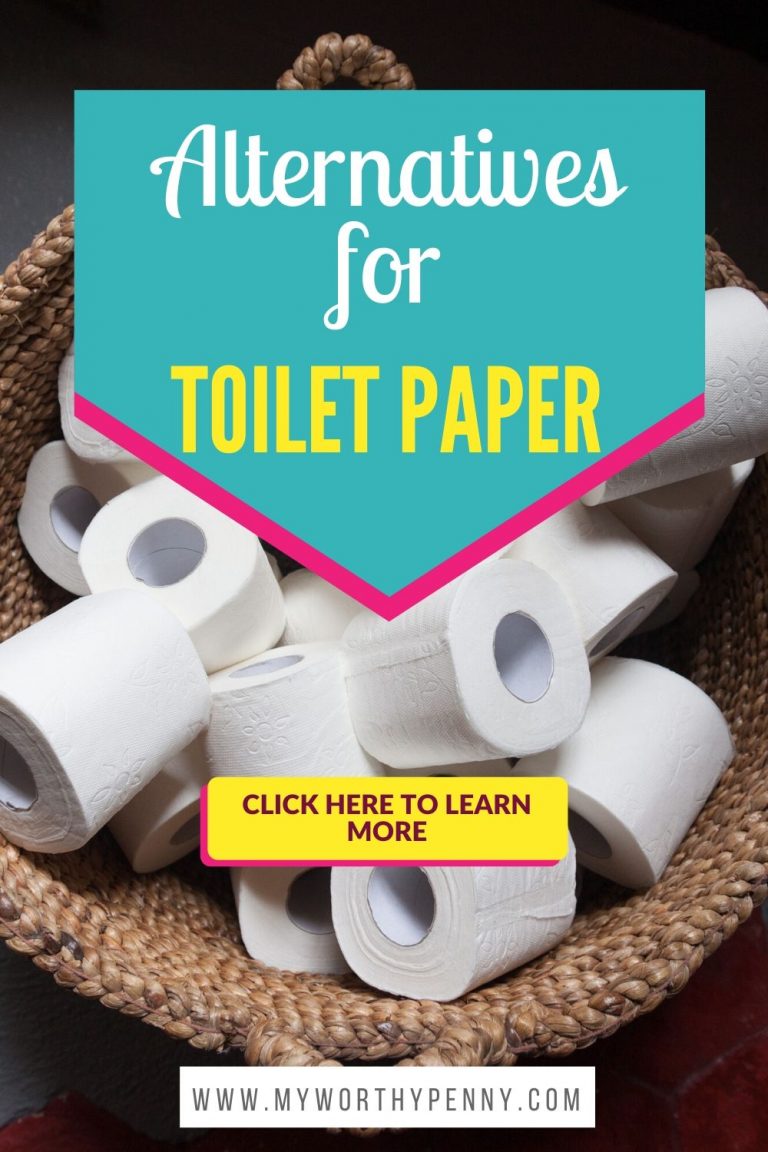 35 Alternatives For Toilet Paper - My Worthy Penny